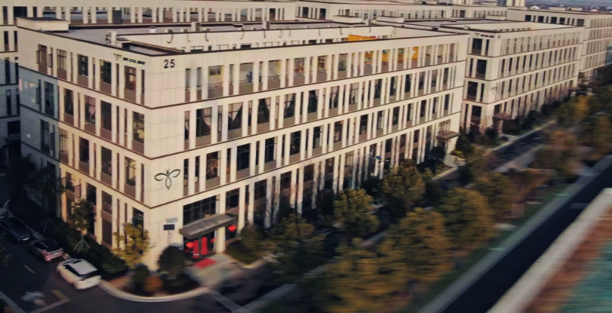 BeeCool Bikes: Revolutionizing the E-Bike Industry