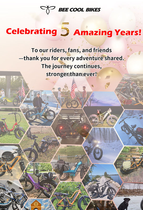 Bee Cool E-Bikes for Sale, Buy Electric Bicycles at Affordable Prices